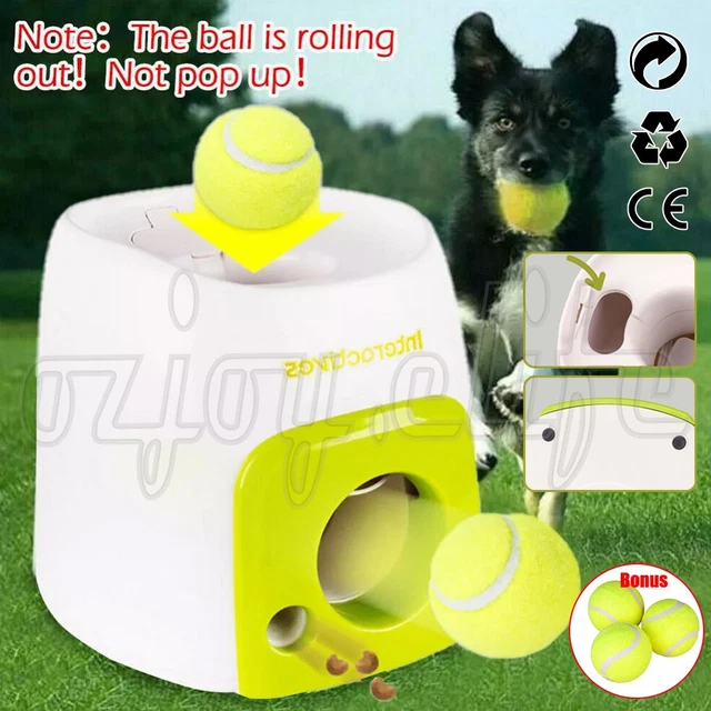 AUTOMATIC BALL ROLL Out Launcher Pet Dog Machine Toys Interactive ...