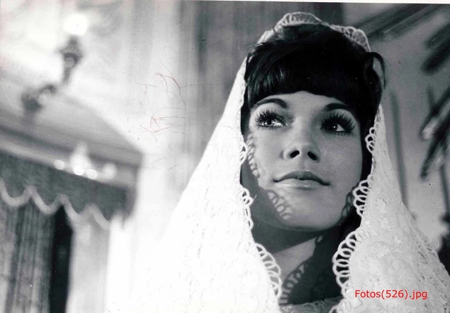 BARBARA BENTON, SCHAUSPIELERIN - 5 Pressefotos - versch. Grössen (4292 ...