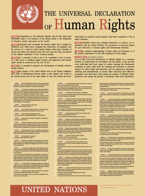 UNITED NATIONS UN Universal Declaration of Human Rights Poster Print ...