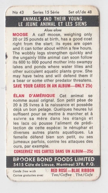 BROOKE BOND CANADA Animals and their Young (tea/coffee back, 1972) #43 ...