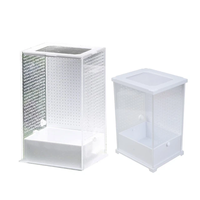 CLEAR FEEDING BOX Hatching Container with Lid Spider Scorpion- Geckos ...