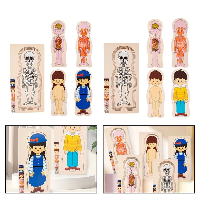 WOODEN HUMAN BODY Puzzle Toys, Body Parts Puzzle, Montessori Jigsaw ...