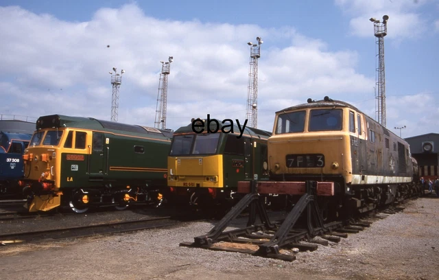 35MM RAILWAY SLIDE - Diesel Locos 50007, 60081 & D7029 @ Old Oak Common ...