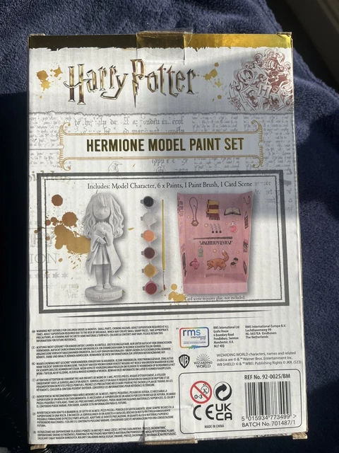 HARRY POTTER MODEL Hermione Character Art & Craft Paint Set - NEW £5.00 ...