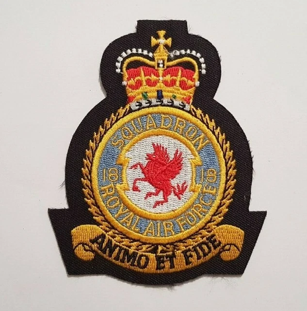 CURRENT ISSUE ROYAL Air Force RAF Flight Suit Patch - No. 18 Squadron £ ...