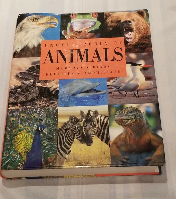 2008 AMBER BOOKS THE ENCYCLOPEDIA OF ANIMALS BOOK OVERSIZE HEAVY BOOK ...
