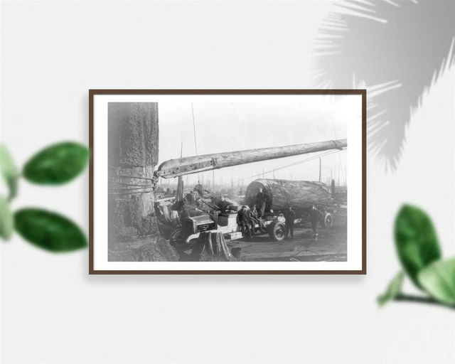 PHOTO: LOADING BOOM on a spar tree,Logging in Washington,c1921 £16.18 ...