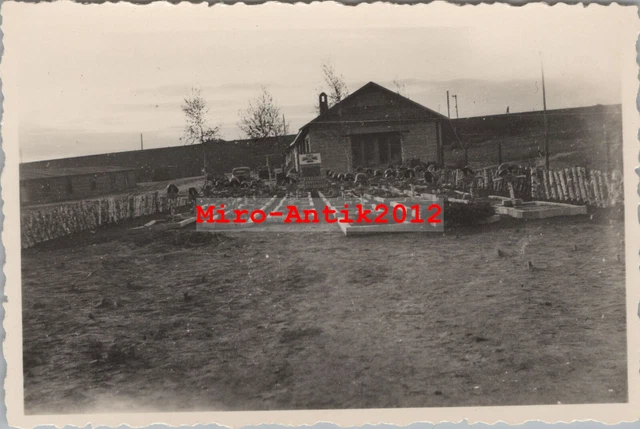 FOTO, WK2, RUSSLAND 1941, deutscher Soldatenfriedhof in Orscha (N)50896 ...