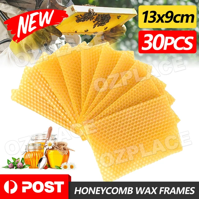 30PCS HONEYCOMB FOUNDATION Bee Hive Wax Frames Waxing Beekeeping ...