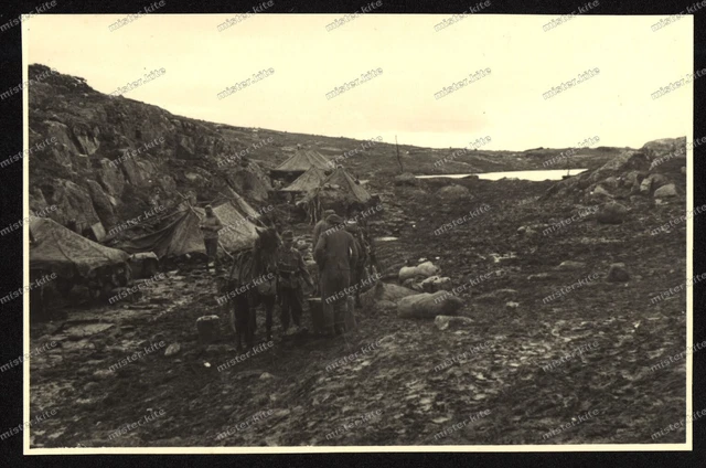 GEBIRGS-JÄGER-PIONIER BTL.82-KORPS-LAPPLAND-MURMANSK-TITOWKA-FRONT-LIZA ...