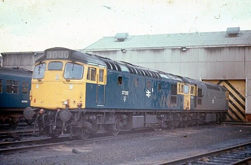 ORIGINAL COLOUR SLIDE of 27202 BR class 27 diesel loco £2.50 - PicClick UK