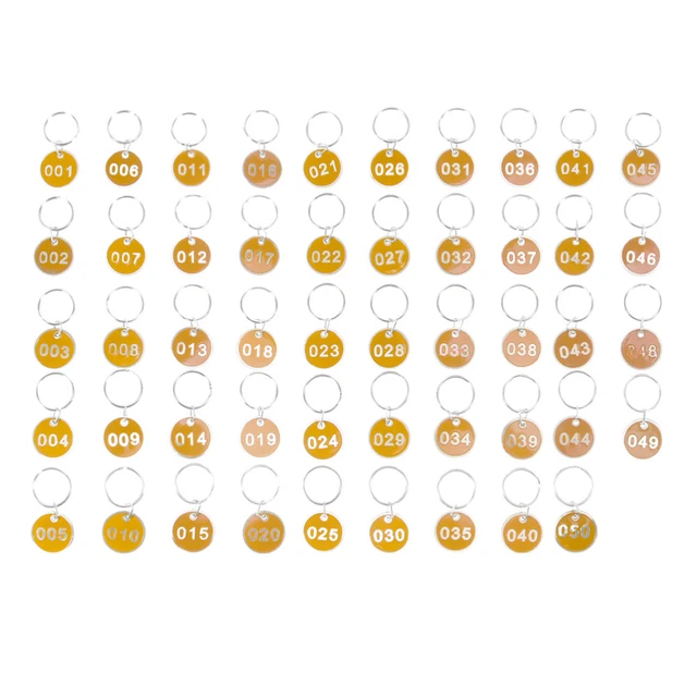 METAL LOCKER STORAGE Cabinet Date Key Chain Gift Tags Stainless Steel £ ...