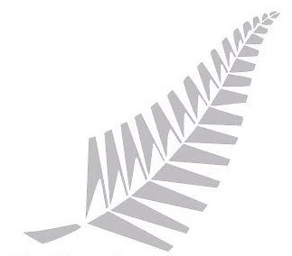 NZ KIWI SILVER fern sticker decal for car ute boat 4x4 campervan $4.50 ...