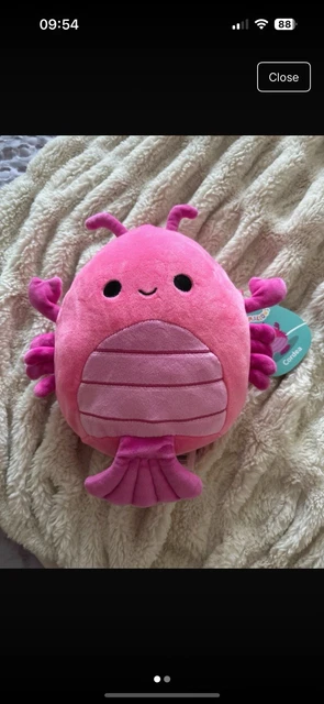 SQUISHMALLOWS CORDEA PINK Lobster Plush Toy 7.5 Inch With Tag £1.75 ...