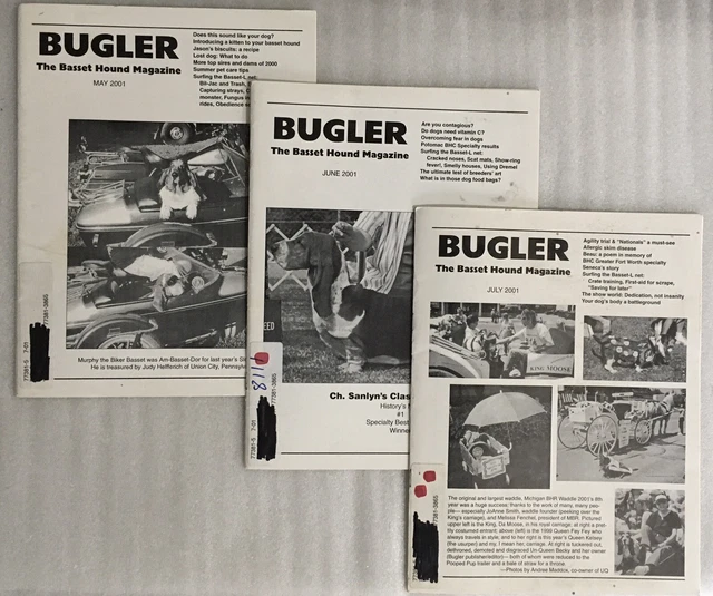BUGLER BASSET HOUND Magazine Lot Vintage 2001 May / June / July £11.66 ...