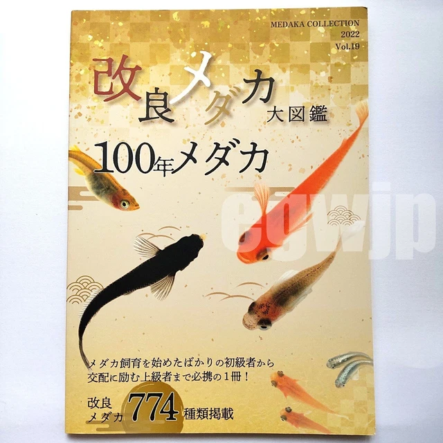 100 YEARS OF Medaka varieties Medaka Collection 2022 Japanese Rice Fish ...