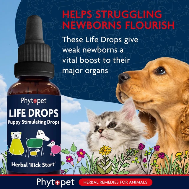 PHYTOPET LIFE DROPS All Natural Stimulant Energy Boost Immune Support ...
