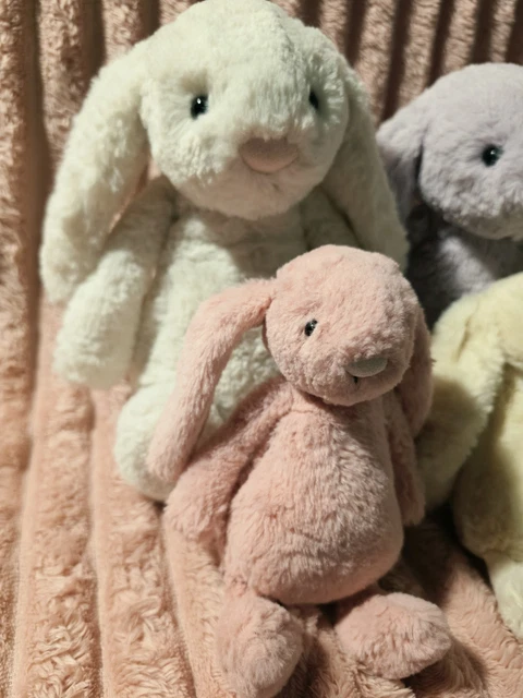 JELLYCAT BASHFUL BUNNIES Bundle of 6x Retired Plush Soft Toys £229.50 ...