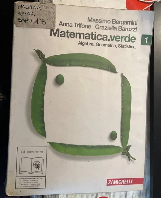 MATEMATICA.VERDE 1 algebra geometria statistica ZANICHELLI EUR 1,00 ...