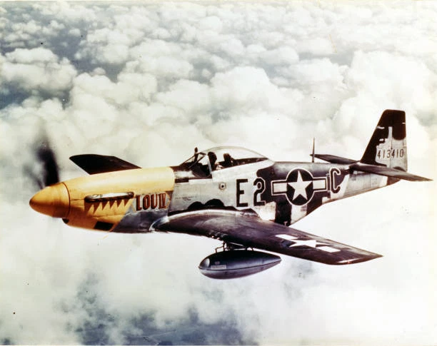 NORTH AMERICAN AVIATION P-51D Mustang fighter plane nickanemd 'Lou- Old ...