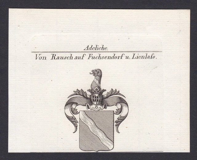RAUSCH FUCHSENDORF LIENLASS Armoiries Adel Coat Of Arms Gravure sur ...