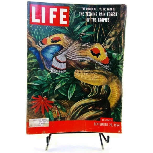 LIFE MAGAZINE SEPTEMBER 20 1954 Deadly Bushmaster & Morpho Butterfly ...