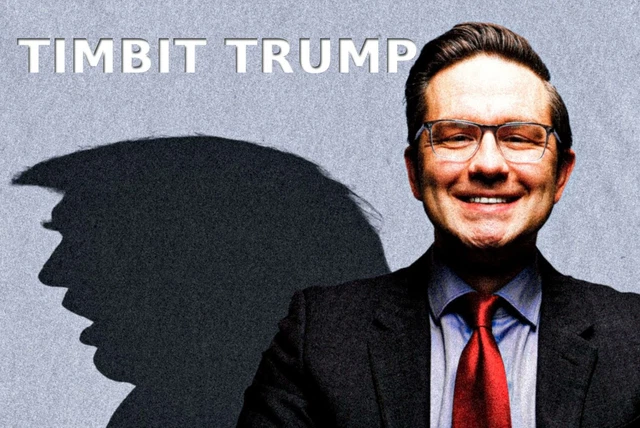 TIMBIT TRUMP PIERRE POILIEVRE ELECTION 2025 HUMOUROUS FRIDGE MAGNET 5 ...