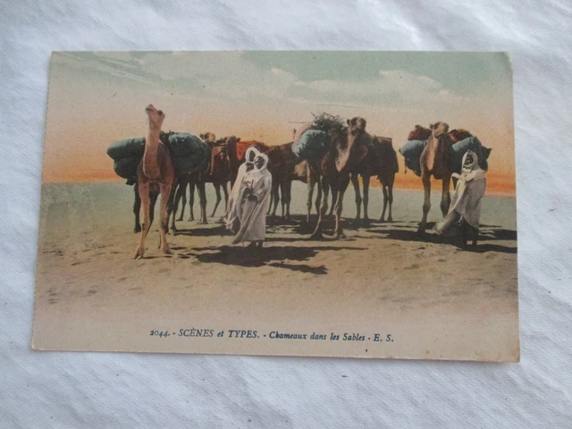 CPA ALGERIE SCENES Et Types Chameaux Dans Les Sables Carte Postale ...