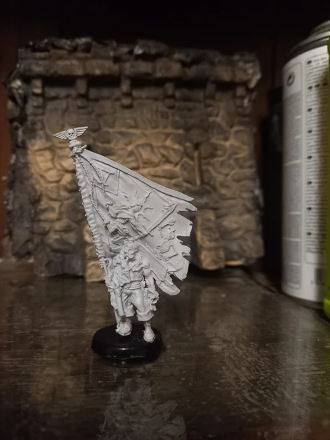 VOSTROYAN STANDARD BEARER Oop Company Standard Etendard Vostroya Astra ...