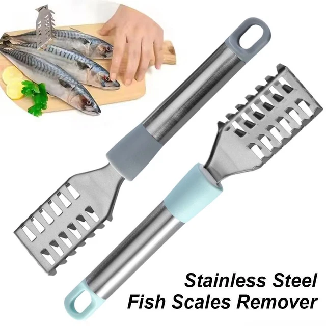 FISH SCALER SCRAPER stainless steel fish scaler scraper kitchen tool ...