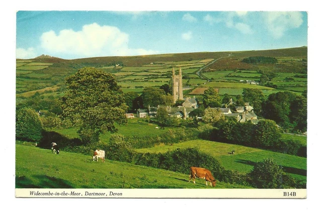 CARTE POSTALE DEVON Dartmoor Widecombe-in-the-Moor B14B Harvey Barton ...