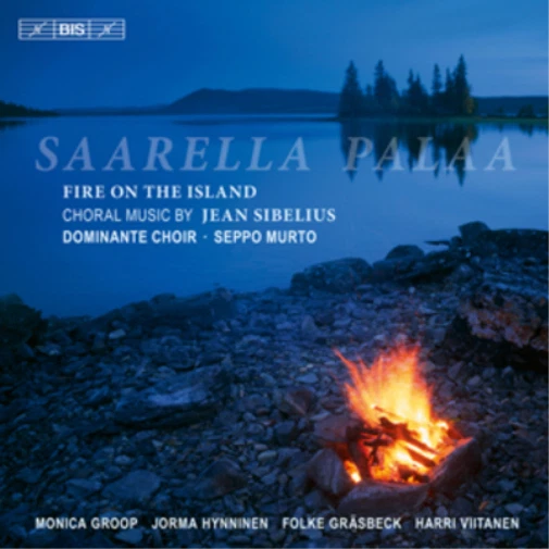 JEAN SIBELIUS FIRE On the Island (CD) Album EUR 21,15 - PicClick FR