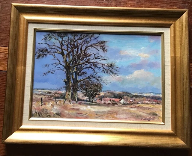ARTIST JOHN ADAMSON 2007 Framed Oil On Board Norfolk Village Landscape ...
