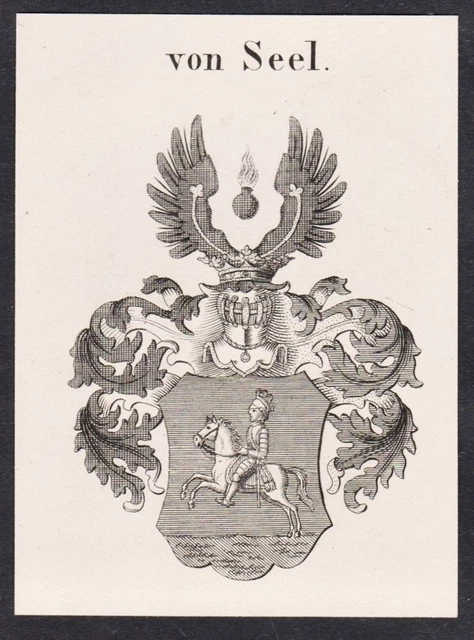 SEEL WAPPEN COAT of arms Heraldik heraldry Genealogie Kupferstich 1820 ...