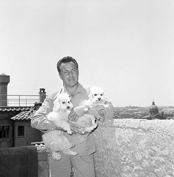 ITALIAN ACTOR ROSSANO Brazzi Holding Two Puppies On His Terrace 1957 ...