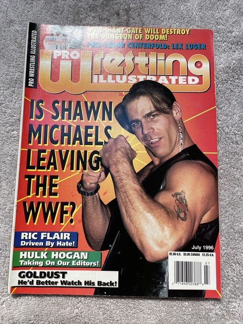 ORIGINAL WWF WWE WCW Retro Pro Wrestling Illustrated Magazine 1996 ...