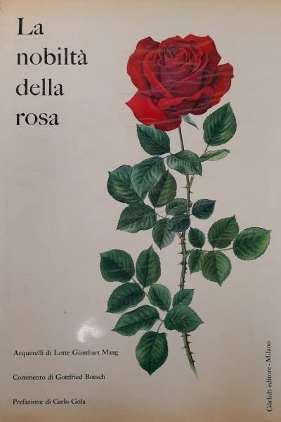 LA NOBILTÀ DELLA rosa - Lotte Günthart Maag (Görlich editore) [[1964 ...