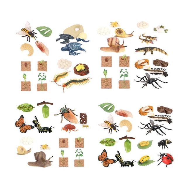 LIFE CYCLE LEARNING Toys Realistic Figurines Set Teaching Props ...