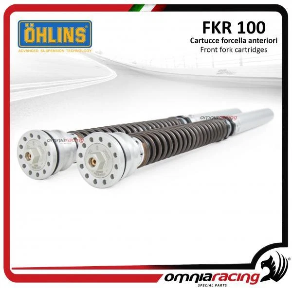 PAIRE CARTOUCHES DE fourche Ohlins TTX FKR100+ressorts Kawasaki ZX10R 2016/2017 EUR 2.354,00 ...