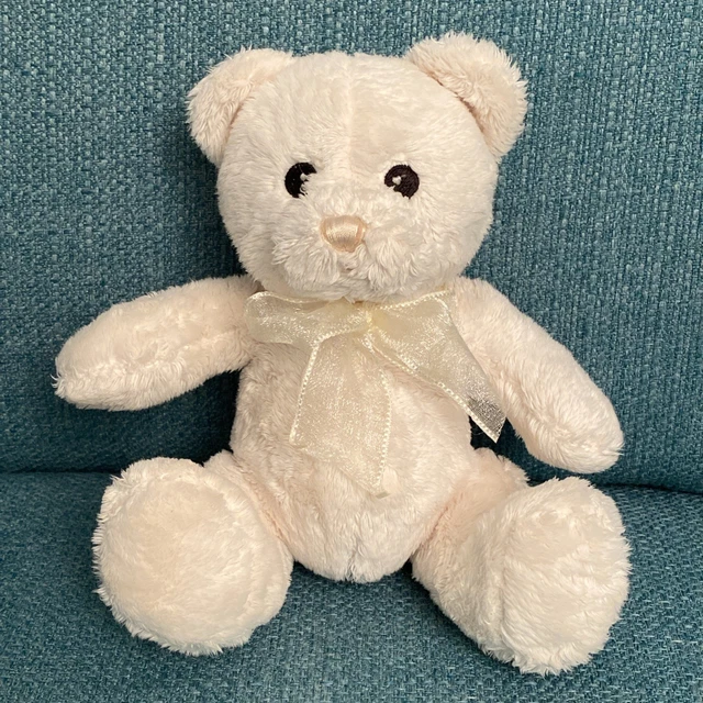 PRIMARK EARLY DAYS Bear Plush Teddy Soft Toy Comforter Retired Cuddly £ ...