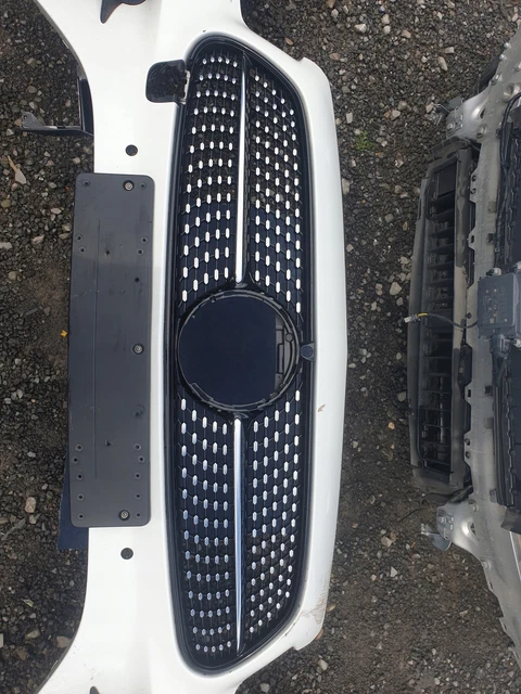 MERCEDES-BENZ W213 GRIGLIA radiatore A2138803606 griglia anteriore ...