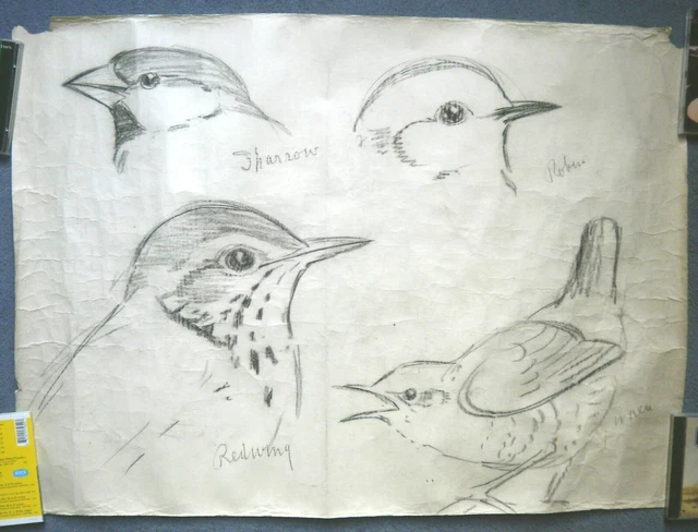 ROLAND GREEN HUGE Double-Sided Sheet Bird Drawings Wren Redwing Robin ...