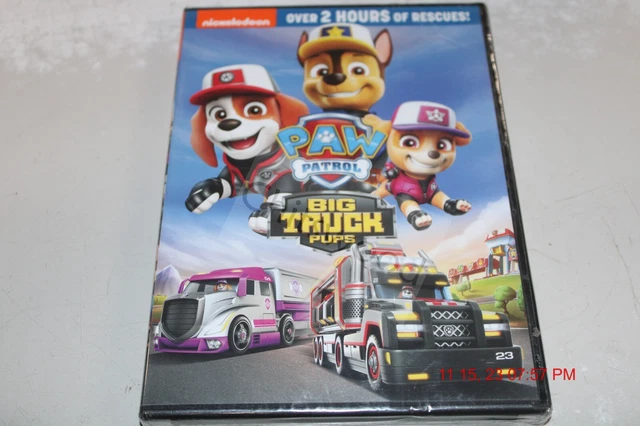 PAW PATROL: BIG Truck Pups (DVD, 2022) EUR 9,73 - PicClick FR