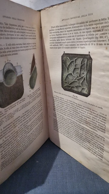 TESTUT ANATOMIA UMANA Vol 7-8-9-10 1931 Anatomia Descrittiva Istologia ...