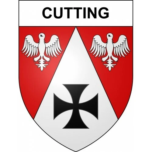 CUTTING 57 VILLE sticker blason écusson autocollant adhésif EUR 6,99 - PicClick FR