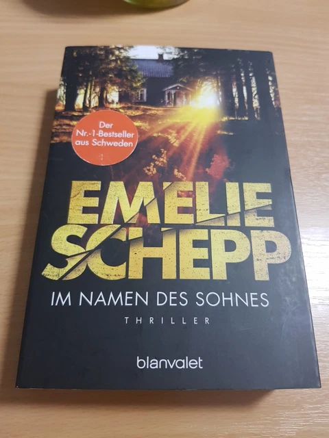 IM NAMEN DES Sohnes von Emelie Schepp (2018, Taschenbuch) ungelesen EUR ...
