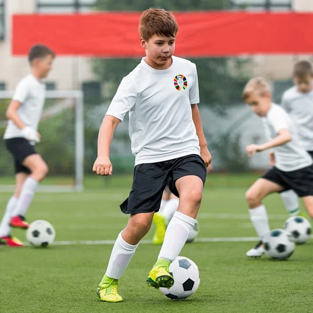 DECALCOMANIE TRASFERIMENTO CALORE logo UEFA EURO 2024 di lunga durata ...