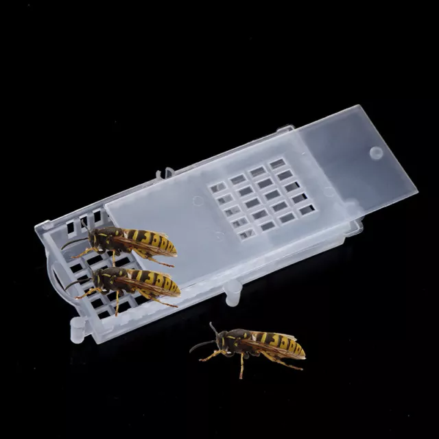 BEE TOOL BEE Transport Cages Queen House Beehive White transparent Bee ...