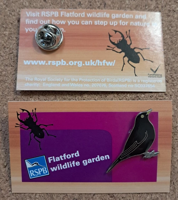 RSPB BLACKBIRD SPECIAL Charity Pin Badge FLATFORD Wildlife Garden £6.49 ...