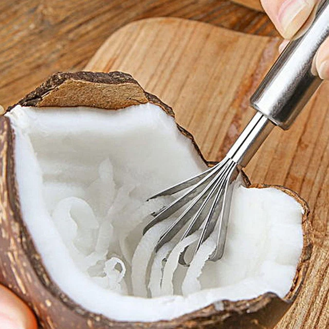 COCONUT PLANER SHREDDED Scraper Potato Grater Durable Fish Scale Planer ...